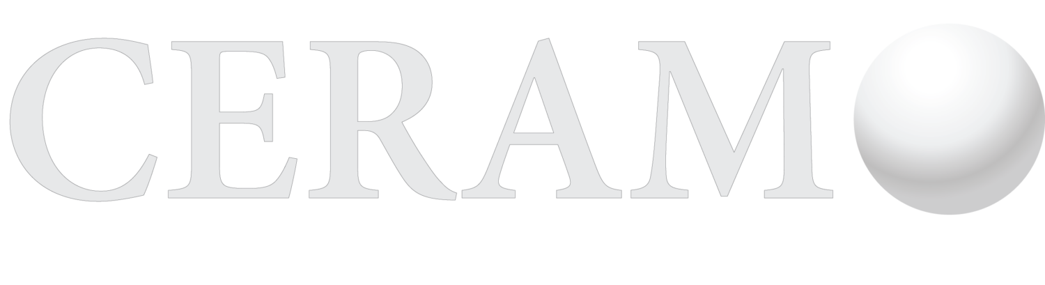 CERAMO – GAPIC – B-Wrap – Services: Consulting / Recruitment ...